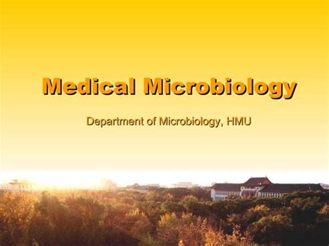 Normal Microbial Flora In Human Body Pptx