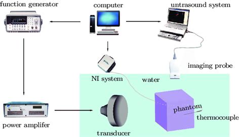 Color Online Schematic Diagram Of Experimental Apparatus Which
