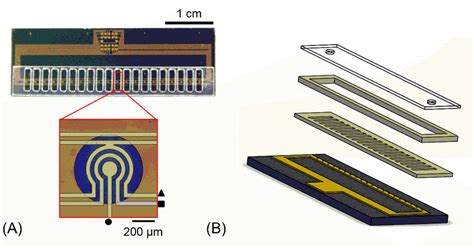 design of the microfluidic sensor a image of device used with an