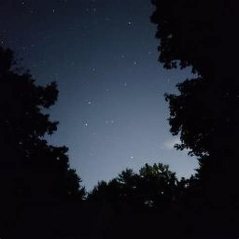 Danielle Chung Youtube