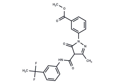 Acss2 In 2 Fatty Acid Synthase Targetmol