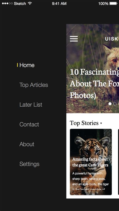 Dribbble 17 By Nasserui