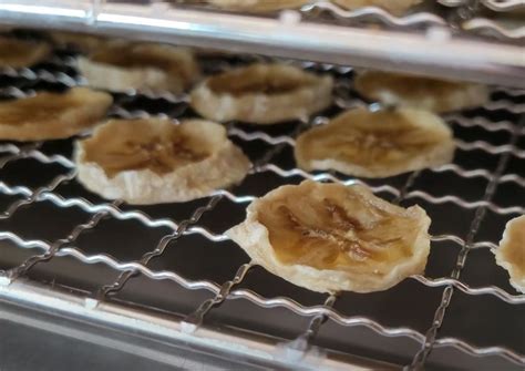 The Best Food Dehydrator For 2025 Cozy Cottagecore Living