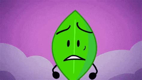 Bfb Leafy  Bfb Leafy Bfdi Discover And Share S