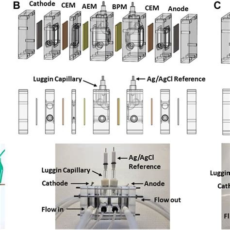 Custom Cell For Eis Measurements A And Custom Electrodialysis Flow Download Scientific
