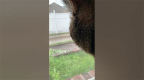 Just Lillith Youtube