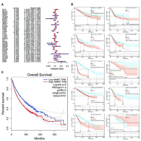 The Relationship Between Nnmt Expression And Overall Survival Time In Download Scientific