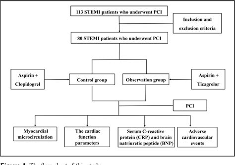 Figure 1 From The Effect Of Ticagrelor On Myocardial Microcirculation