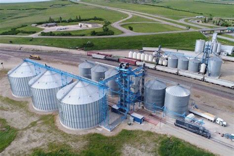 Sweet Grass Mt Columbia Grain