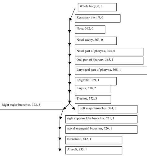 Tree Representation Of Patient With Pneumococcal Pneumonia Download