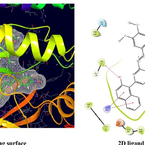 Binding Surface And 2d Ligand Interaction Diagram Of Compound Ax1