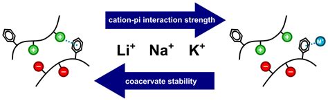 Polyelectrolyte Complexes And Coacervates Laaser Lab