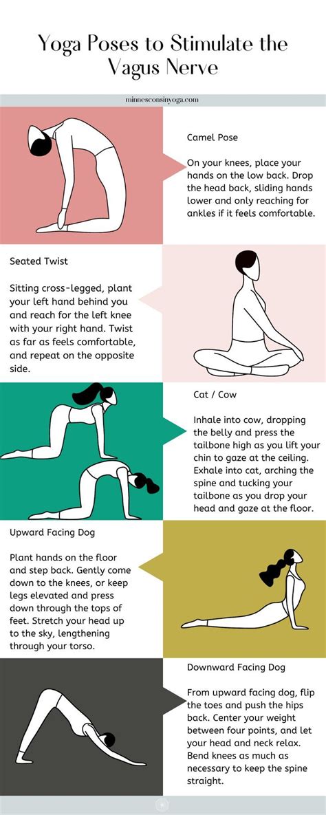 Vagus Nerve Exercises