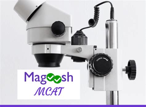 Magoosh Mcat Review Is It Good
