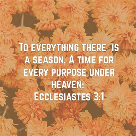 Ecclesiastes 3 1 Ecclesiastes3 Verseoftheday Youversion Amplified