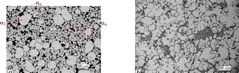 Typical Microstructure Of The As Cast Al Si Mg A357 Alloy Which Is