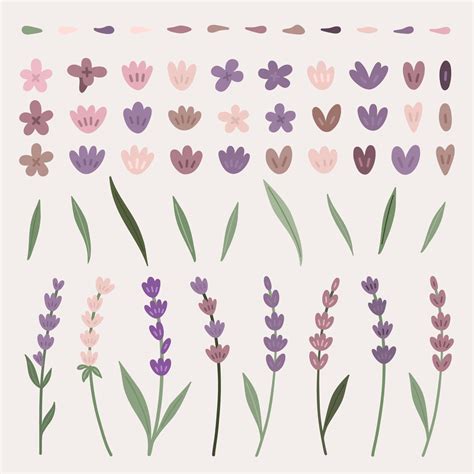 Lavender Flower Set 11914659 Vector Art At Vecteezy
