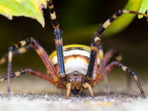 Čepulio Fotoklajonės Added A New Photo Čepulio Fotoklajonės