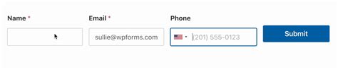 inline forms single double entry voters highlevel