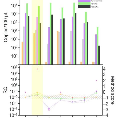 Comparison Of Tissue Homogenization Methods Used For Development Of