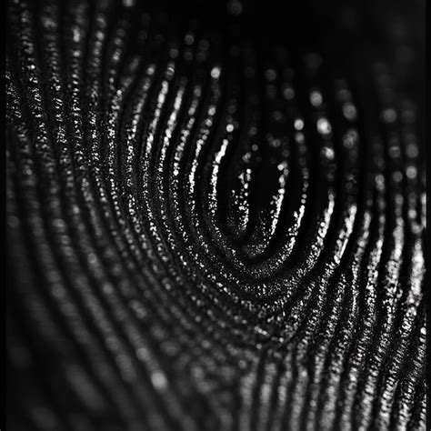 A Closeup Of Biometric Security Measures Like Fingerprint Or Facial Recognition Premium Ai