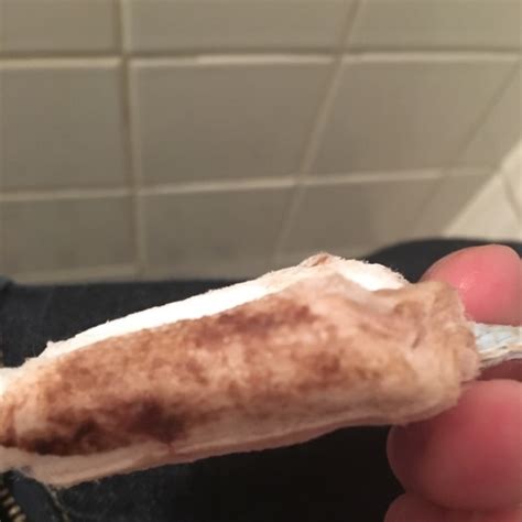 What Does Implantation Bleeding Look Like On A Tampon