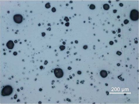 Optical Microscopy Image Of A Finalized Sample Medium Showing The