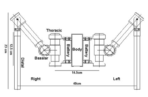 1 Schematic Front View Of The Scorpion Walking Robot Download Scientific Diagram