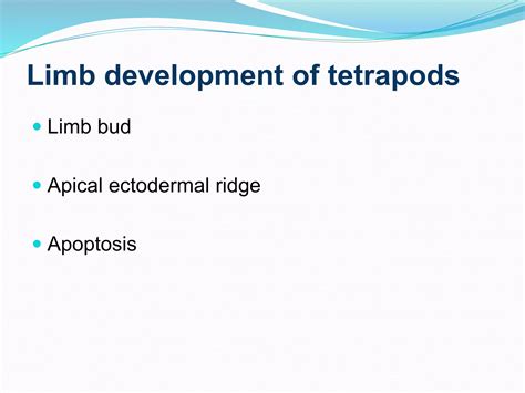 Comparative Anatomy Of The Limb Pptx