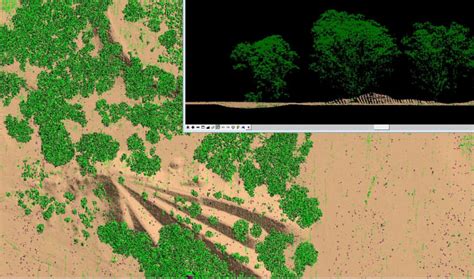 Do Lidar Point Cloud Data Classification By Sureshmuskula Fiverr