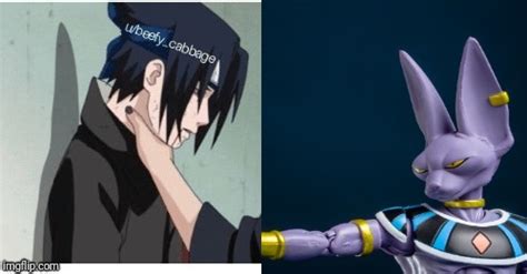 Beerus Memes And S Imgflip