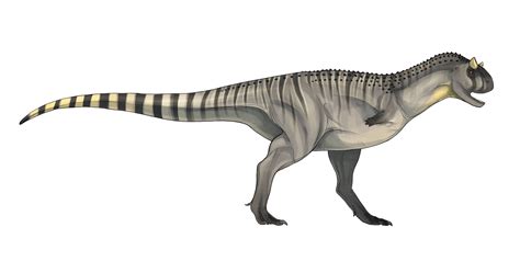 Carnotaurus Sastrei By Kestrelsandcondors On Deviantart