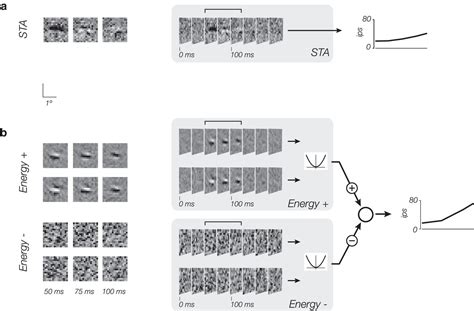 A Convolutional Subunit Model For Neuronal Responses In Macaque V1 Journal Of Neuroscience