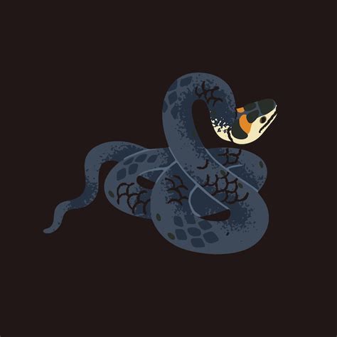 Premium Vector Grass Or Ringed Snake In Attack Pose Small Natrix In