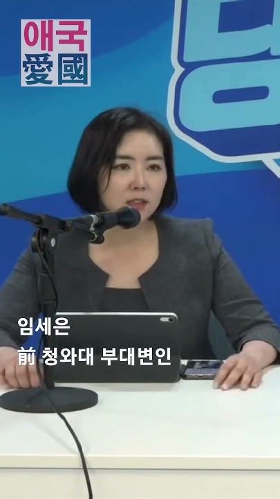 尹정부는 사실상 無정부 상태 민주주의수호 이재명 임세은 촉감외교 Shorts Youtube