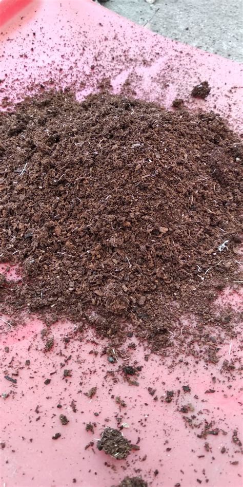 Coconut Compost Pragati Impex