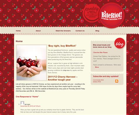 Logo And Brand Identity For Biteriot Sauce Design