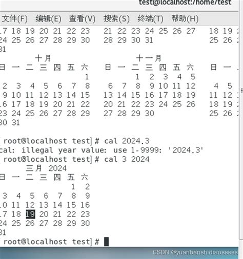 基础小白十天学会linux Linux的指令 Csdn博客