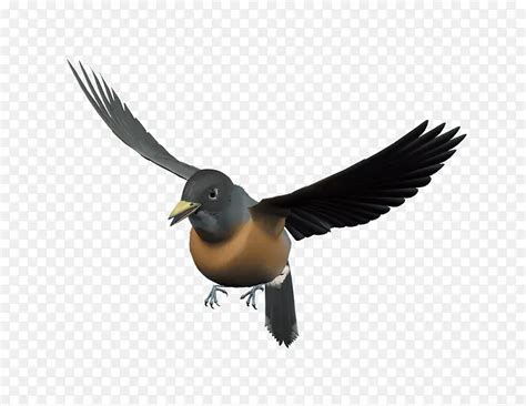 飞翔的鸟png图片素材下载图片编号qlbvknbz 免抠素材网