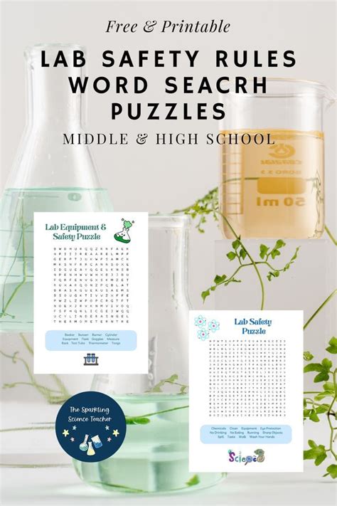 Science Lab Safety Rules Word Search Puzzles Freebees Printable