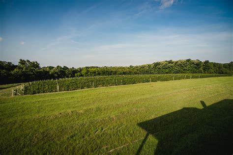 Scarybird Balkans Added A New Photo Scarybird Balkans