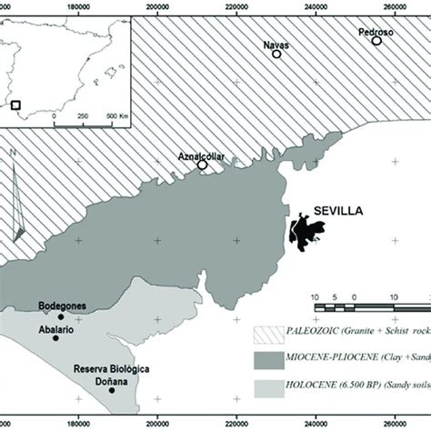 Effects Of Sex X Substrate Interaction On Age In Epidalea Calamita