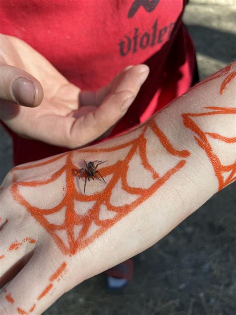 Bugs From Camping Trip Oregon R Whatsthisbug