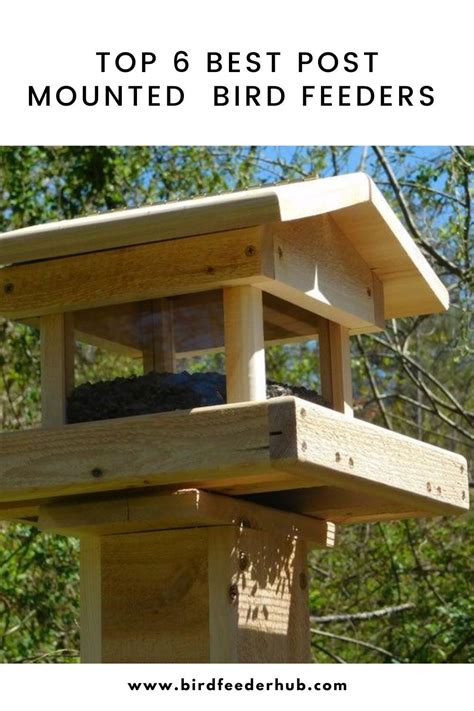 The 6 Best Post Mounted Bird Feeders Artofit