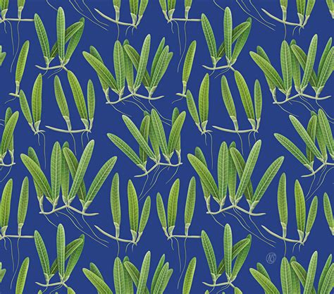 Halophila Stipulacea Fashion Pattern Tropical Seagrass On Behance