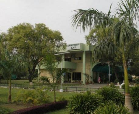 Central University Of Punjab Admission 2026 Fees Rankings Bathinda