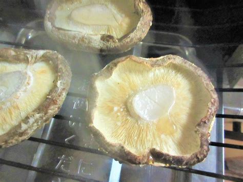 これで完璧！家庭用グリルでしいたけを焼くときのコツ