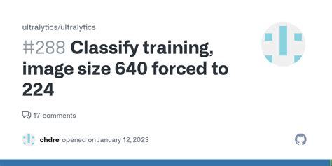 Classify Training Image Size Forced To Issue
