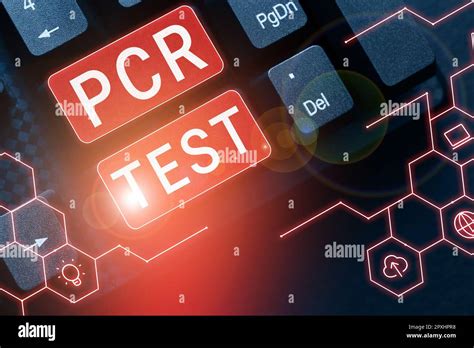 Conceptual Display Pcr Test Conceptual Photo Qualitative Detection Of