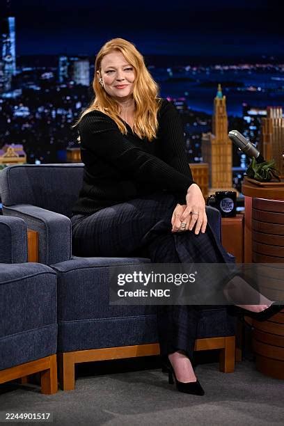 3 406 Fotografias E Imagens De Alta Resolução De Sarah Snook Getty Images